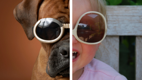 3 dog-rearing tips… applied to kids – Matthew Ruttan